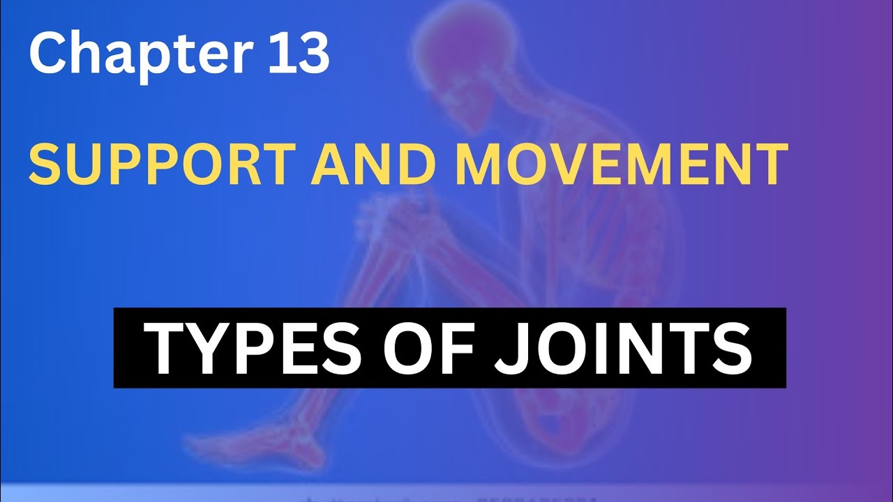 10th Biology, chapter 13, support and movement, Types of joints - YouTube