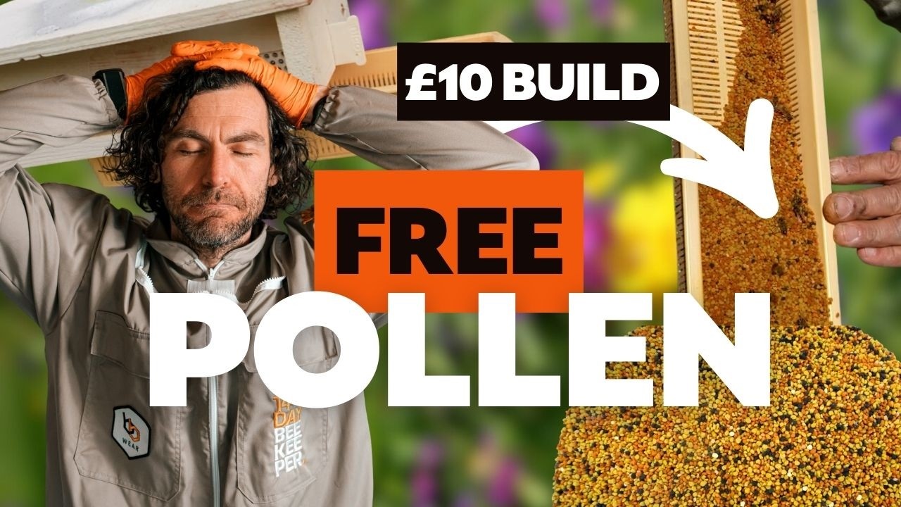 How To Build A Pollen Trap - It's SO Simple! - YouTube