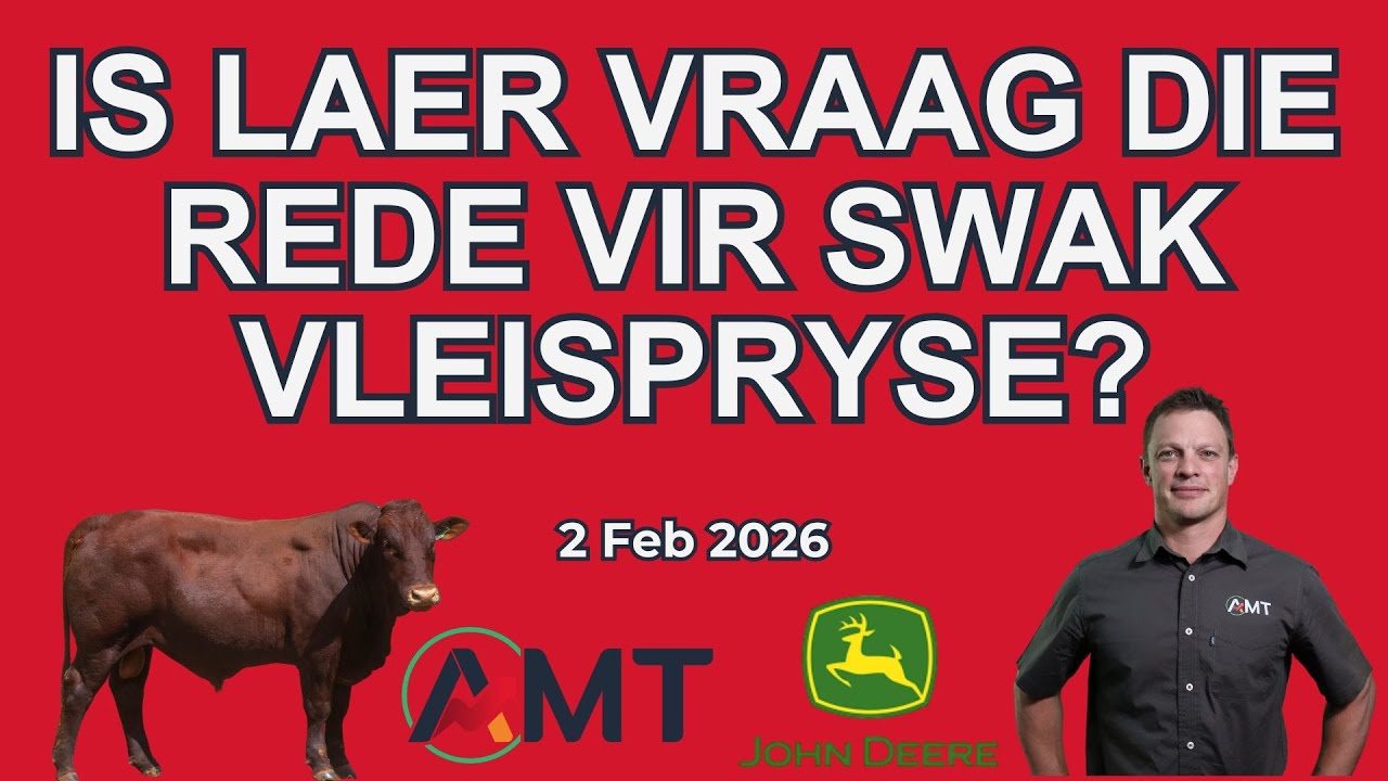 🥩 Is laer vraag die rede vir swak Vleispryse? | Vleisprys-oorsig – 3 ...
