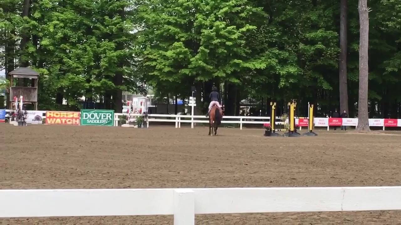 Lauren Paddock and Chacca Blue $2,500 NAL/M&S Classic jump off - YouTube