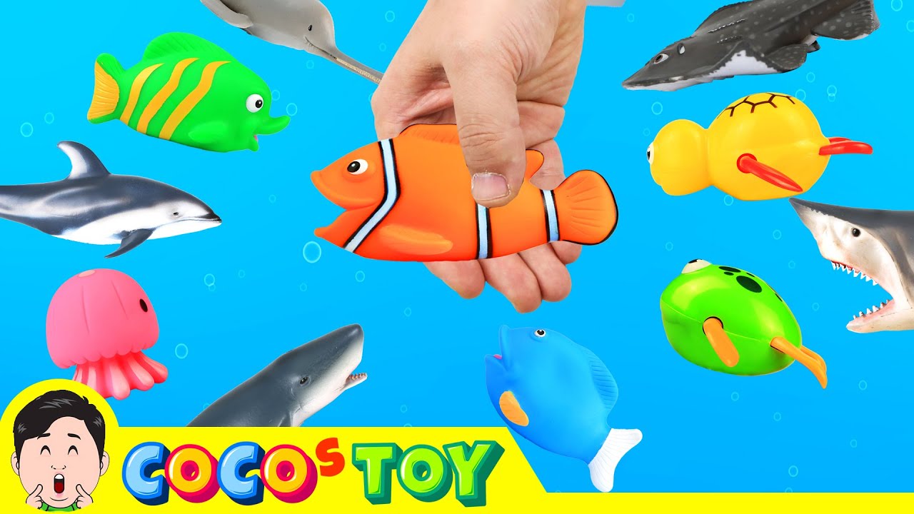 Catching animals in streamsㅣsea animals cartoon for kidsㅣCoCosToy - YouTube