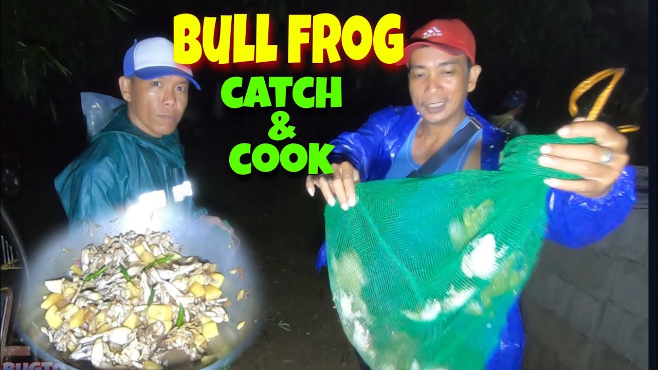 vlog307- BULL Frog & NATIVE Frog Catch and cook | Patatas sa Adobong ...
