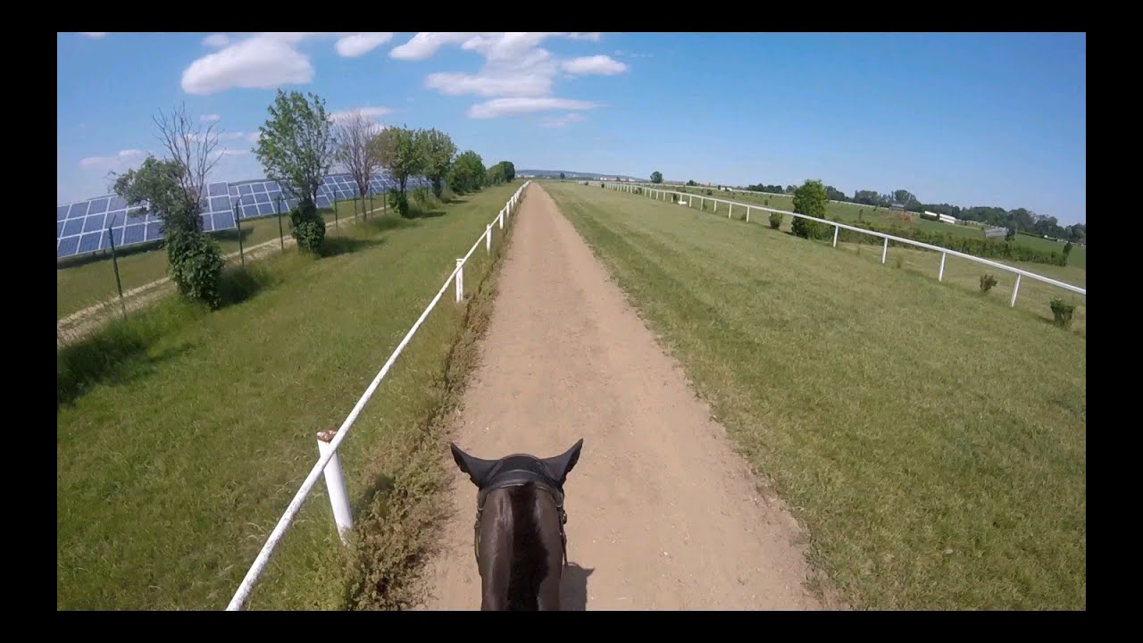 Epic gallop on the race track - GoPro HERO+ [315] - YouTube