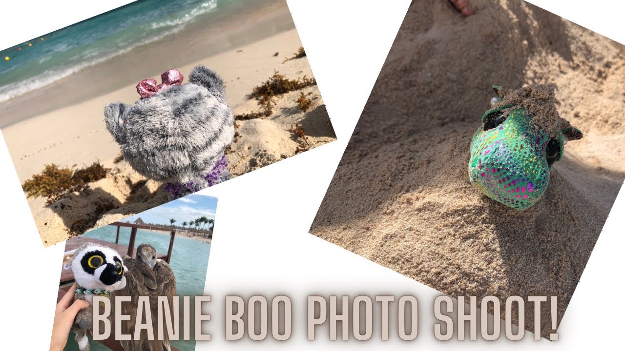 Beanie boo PHOTO SHOOT! - YouTube