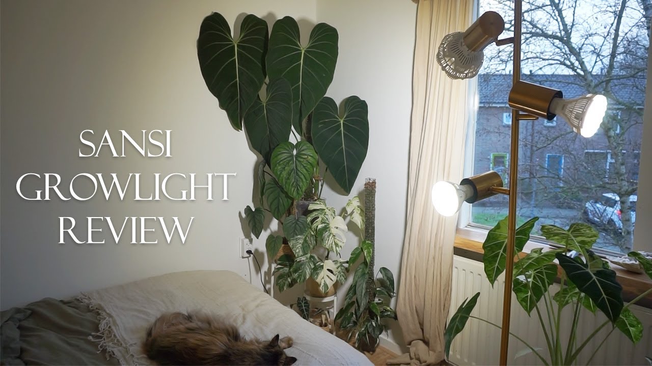 SANSI growlight bulb review | 15W & 36W - YouTube