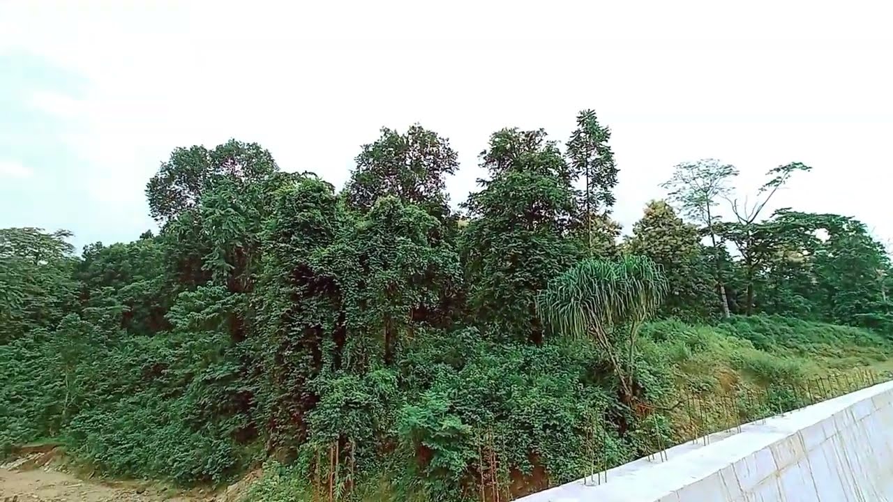 Nature Stutas Video // Avarest // #Naturevlogs - YouTube