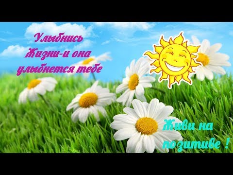 Мишка топтыжка /прикольный😂