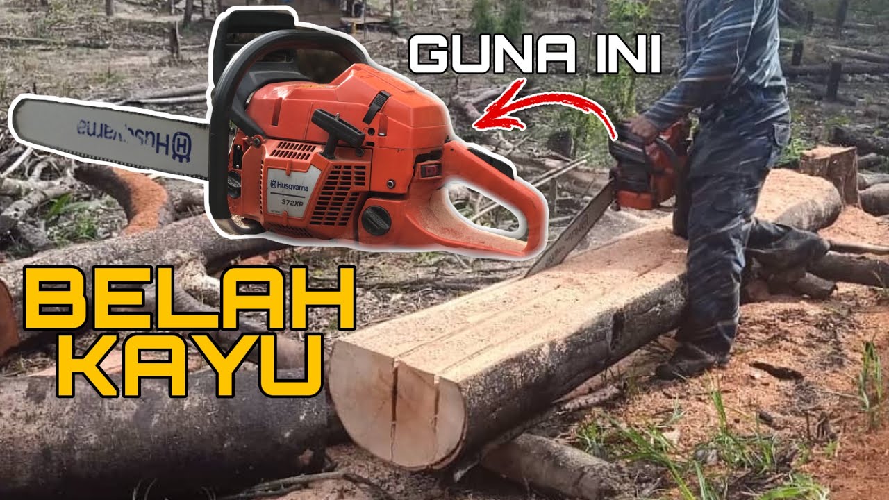 Teknik Membelah Kayu Dengan Chainshaw | Cosmas Gokoh - YouTube