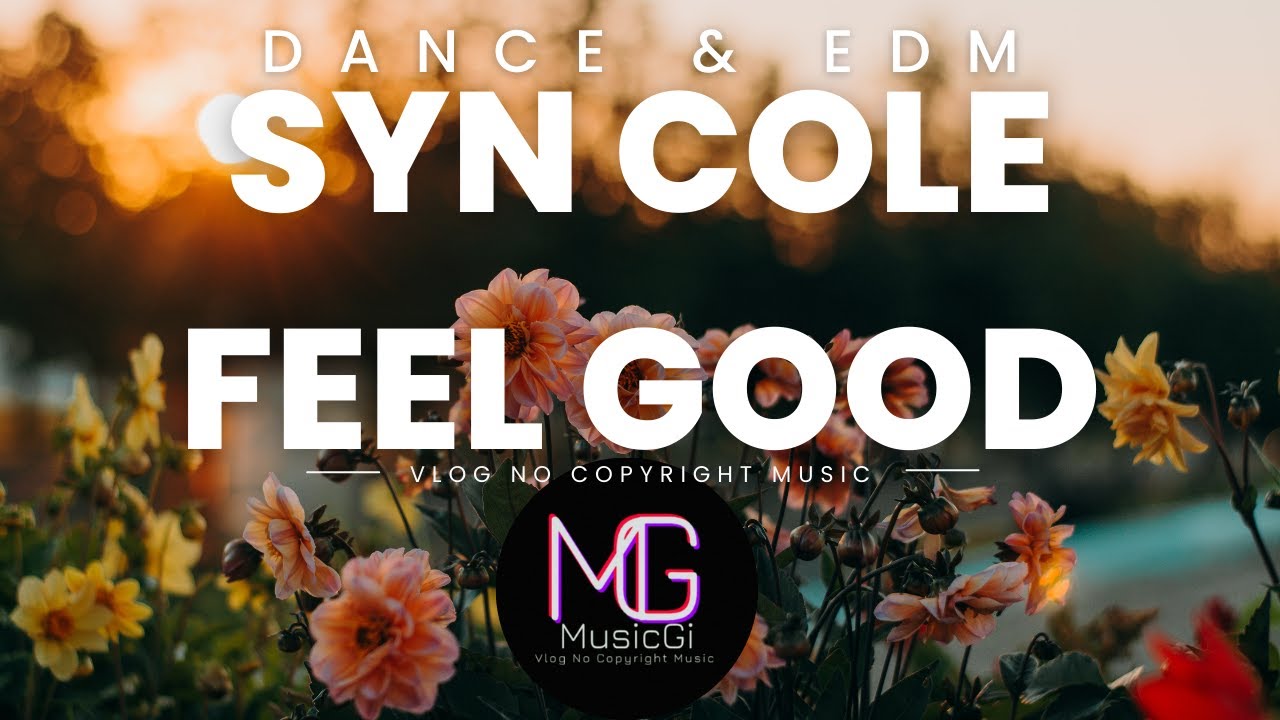 🎼 Syn Cole - Feel Good [NCS Release] - YouTube