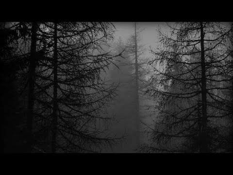 This Cold Night - It’s Not Ok - YouTube