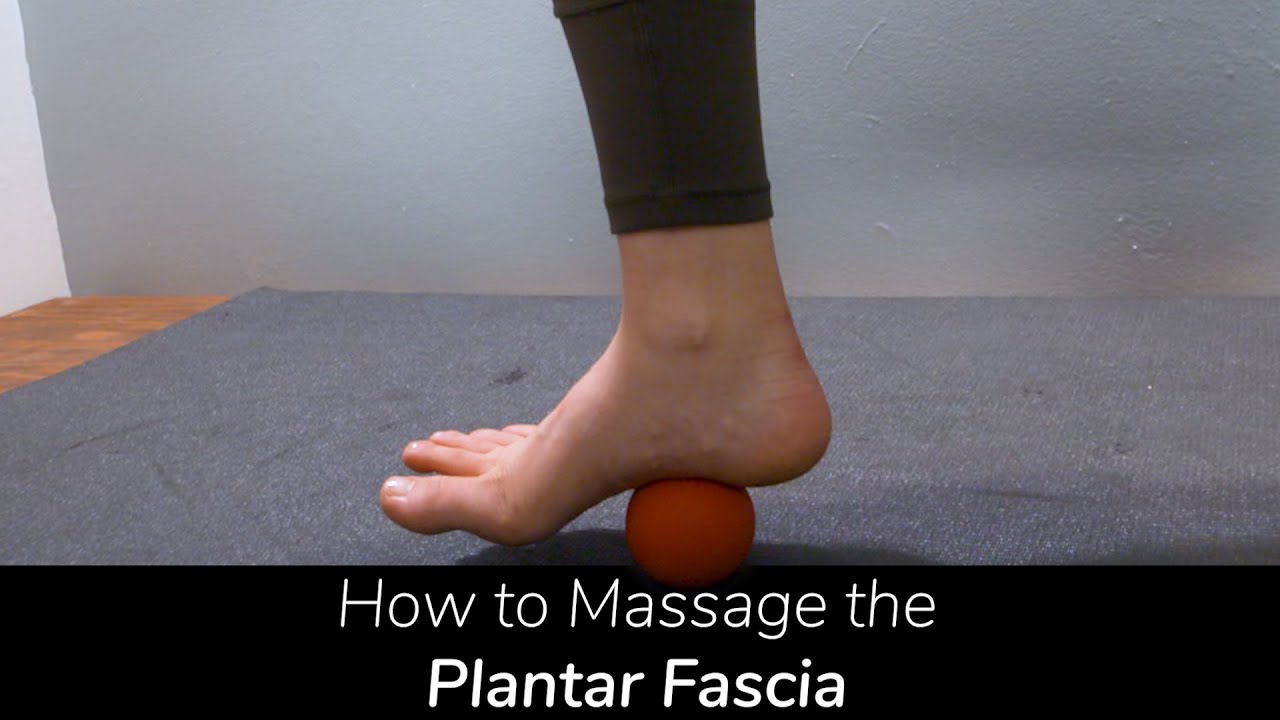 Anatomy Drawing - Plantar Fasciitis Pain - YouTube