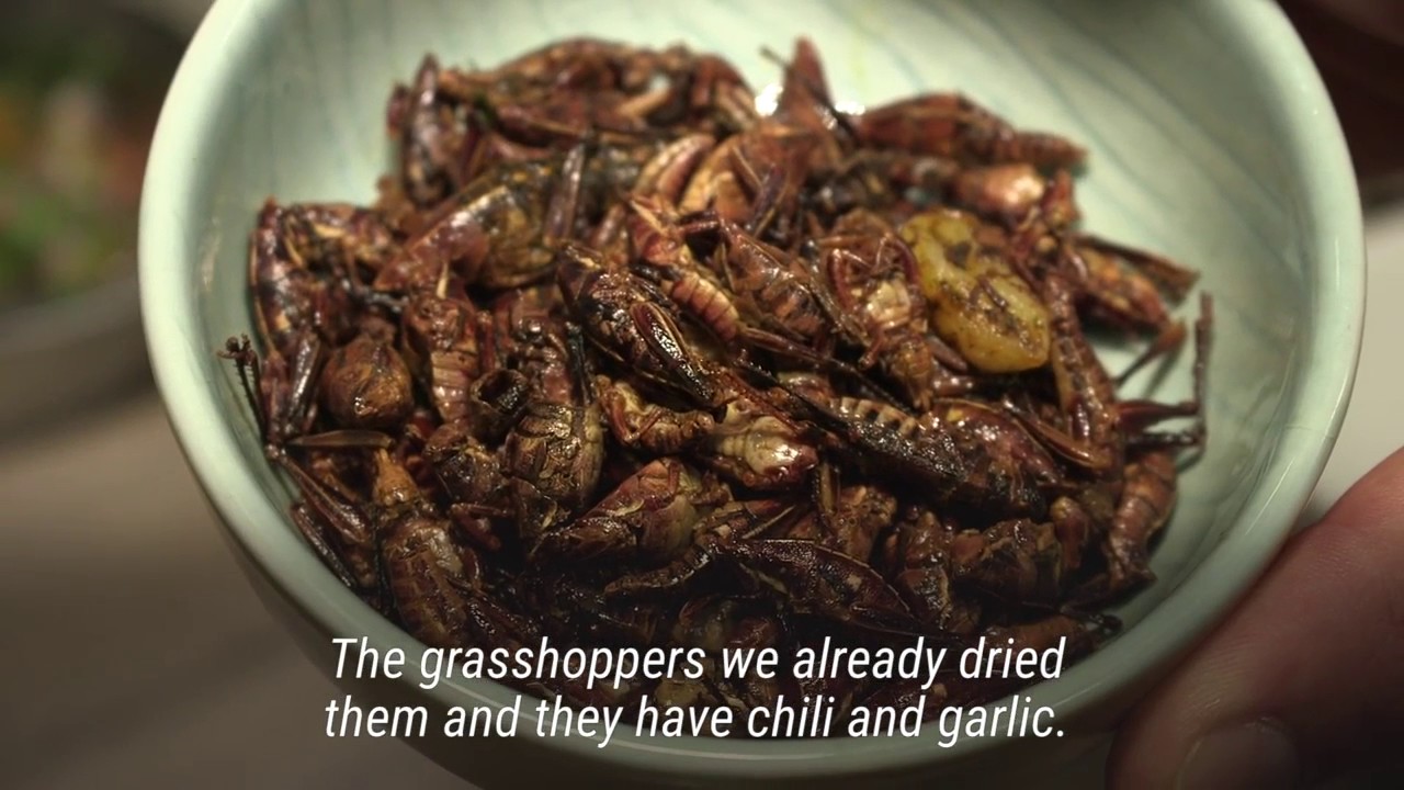 Eat This Grasshopper Croquettes And Tacos, And Black Ant Guacamole ...