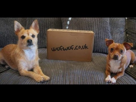 Unboxing & Review Of The Awesome Wuf Wuf Dog Box With Minnie & Toby ...
