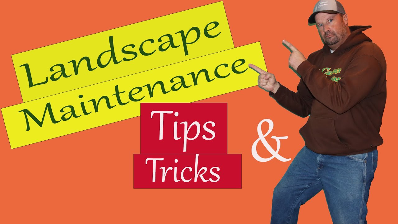 Landscaping For Beginners / Maintenance Tips - YouTube