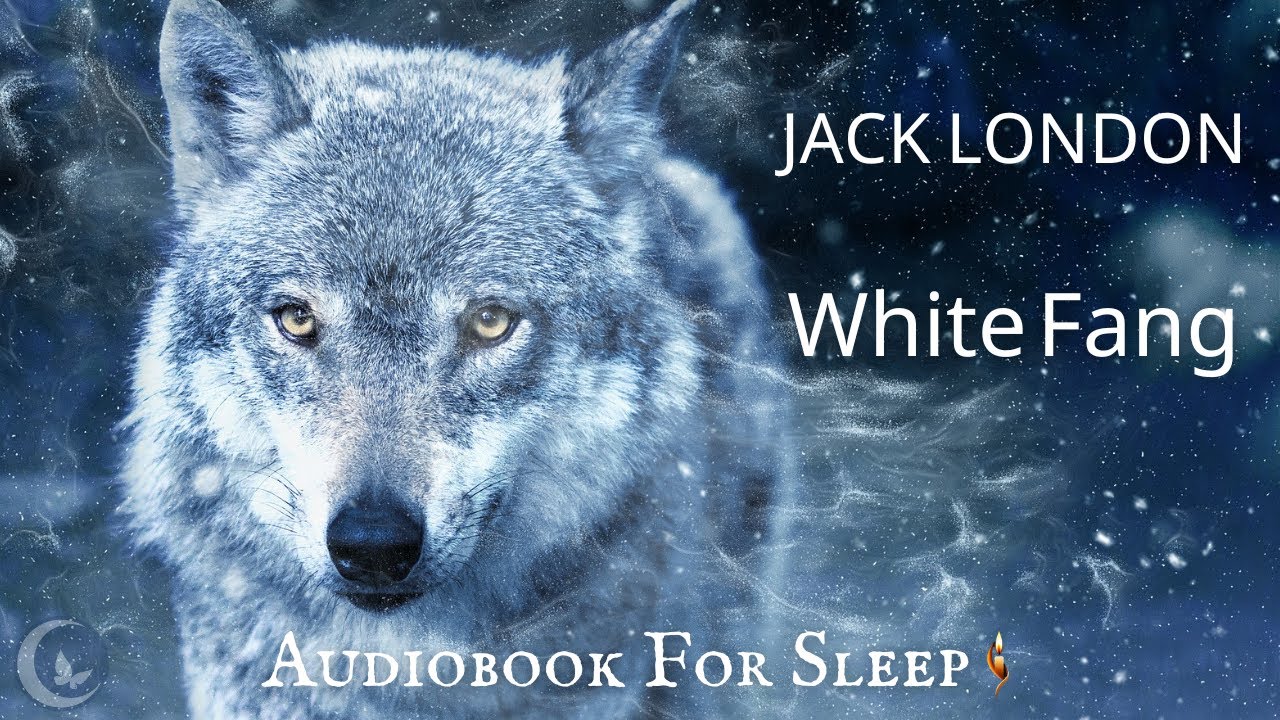 Sleep Audiobook: White Fang by Jack London (Story reading in English ...