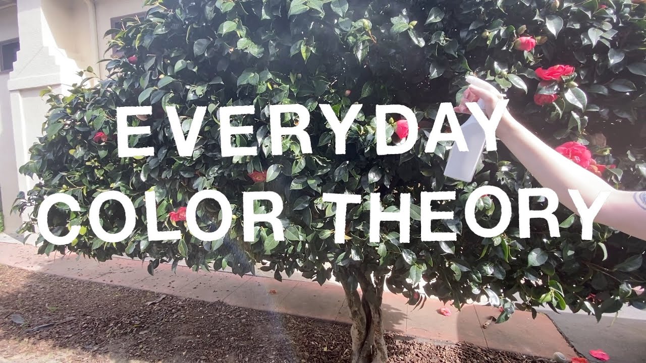 Everyday Color Theory - YouTube