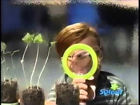 Barney & Friends Shawn & the Beanstalk Credits (PBS Kids Sprout Version) - YouTube