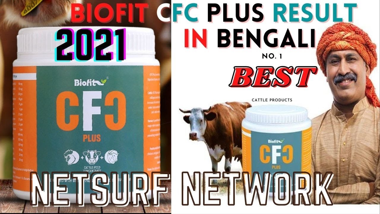 Biofit CFC Plus Result In Bengali | Breeding Problem Solved | Milk ...