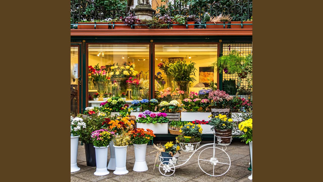 Sunshine on glorious spring day - YouTube