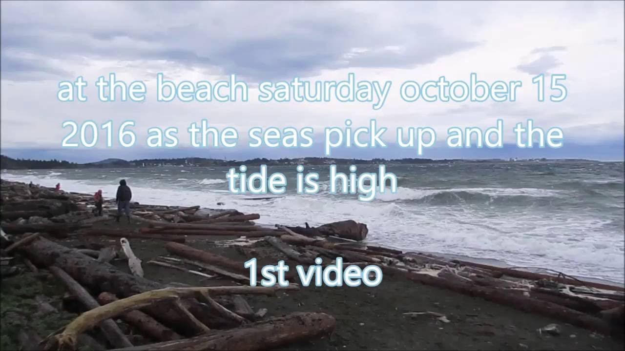 at the beach on saturday oct 15 2016 1st video - YouTube