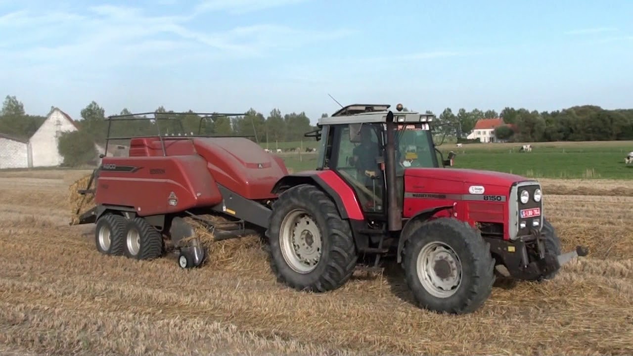 Voeders Colpaert - Leffinge - Massey Ferguson 8150 - Agco Hesston 7434 ...
