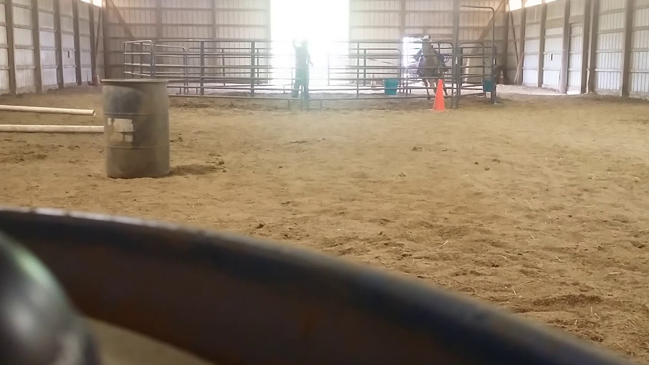 Sunflower Training Day 4 - YouTube