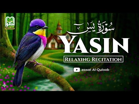 Surah Yasin سورة يس | Wonderful Relaxing Heart Touching Recitation | Ashraf Husain