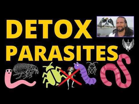 How To DETOX Parasites | Parasite Cleanse - YouTube