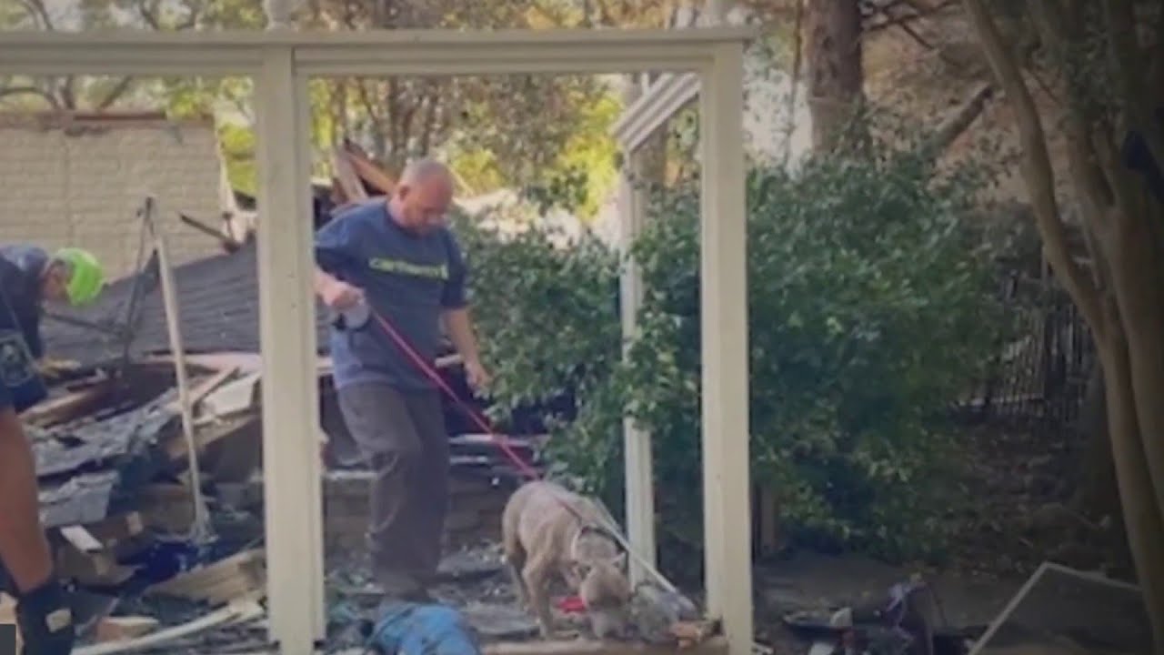 Dog found alive in rubble nearly a week after Virginia home exploded ...