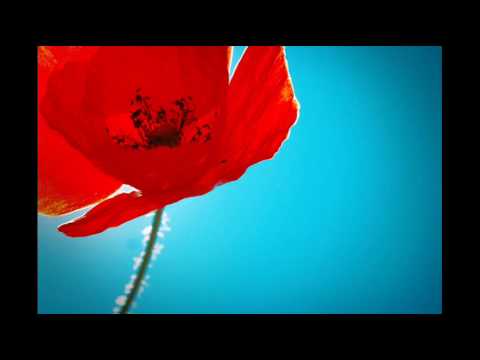 Tornike - Hidden Sound