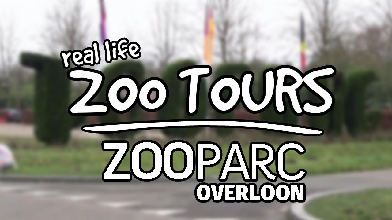 ZooParc Overloon, an unforgettable experience | Real Life Zoo Tours (ft ...