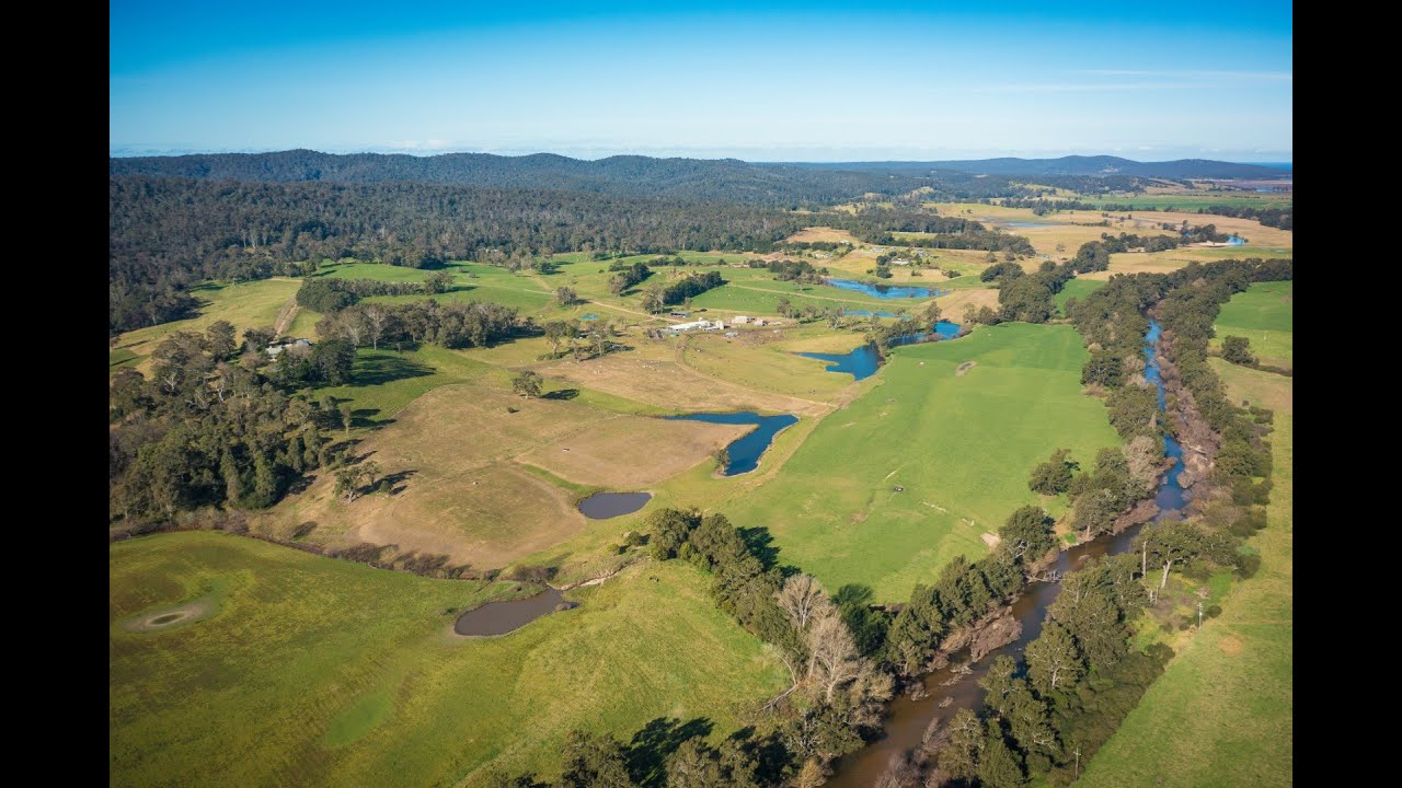 “Daisy Bank” Bega - South Coast, NSW - YouTube