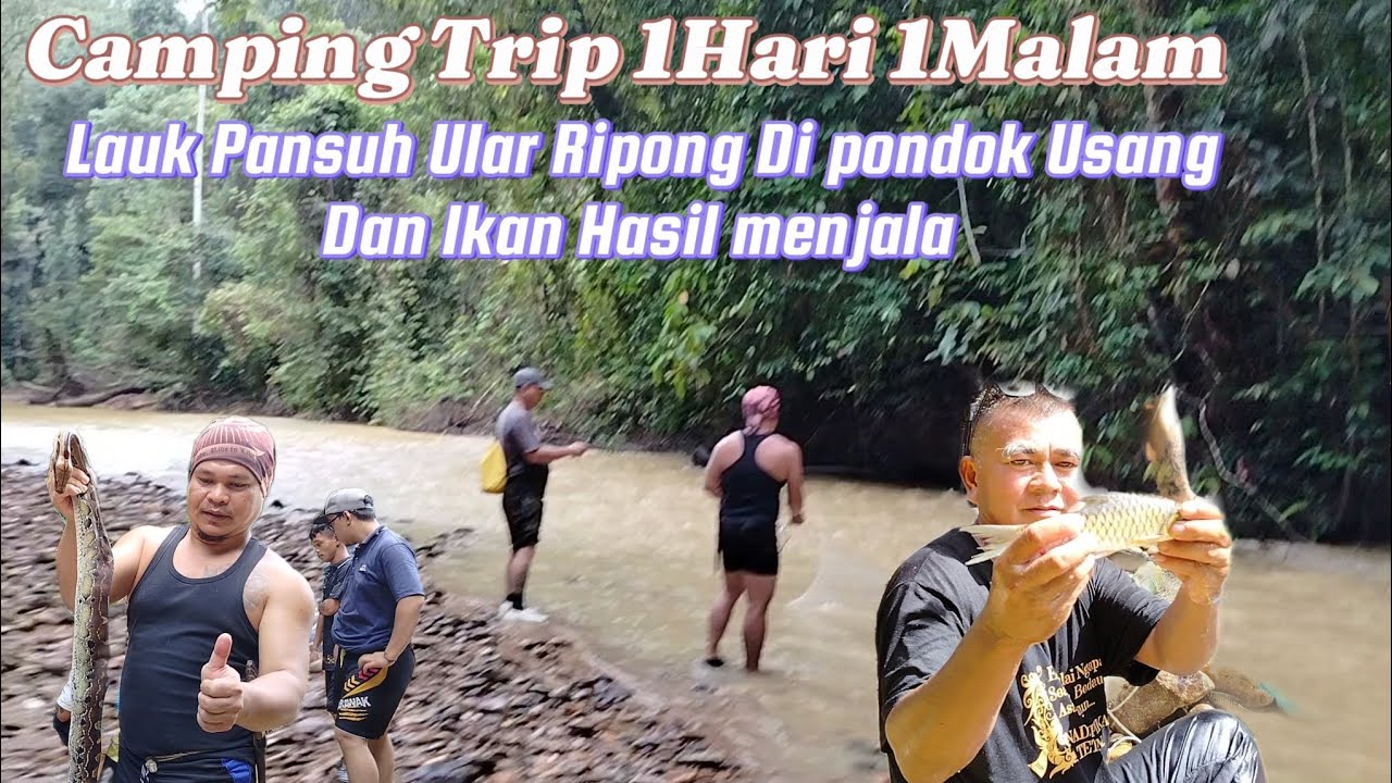 Camping Trip 1Hari 1Malam Di Perbatasan//Lauk Pansuh Ular Ripong Di ...