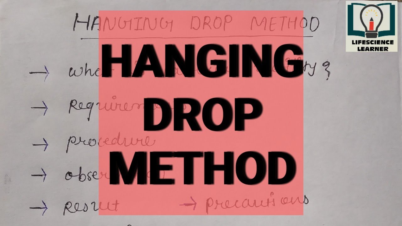 Hanging drop method to check bacterial motility - YouTube
