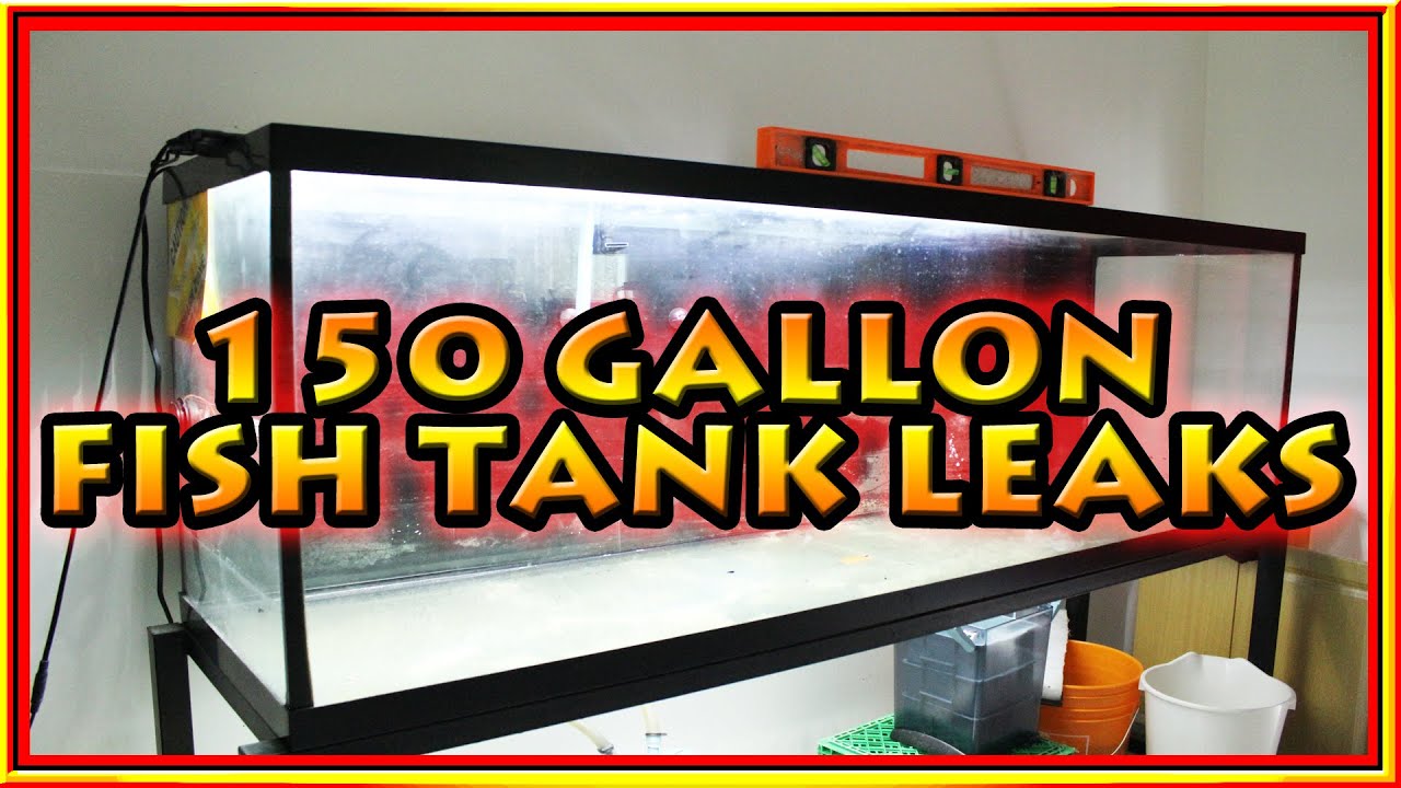 150 Gallon Fish Tank Cracks! - YouTube