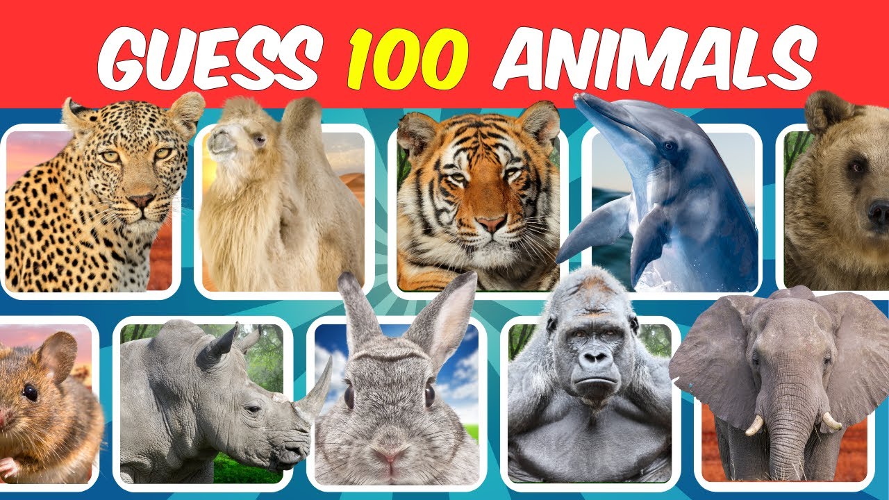 GUESS 100 ANIMALS IN 3 SECONDS! 🦁🐘🐒 | Animal quiz - YouTube