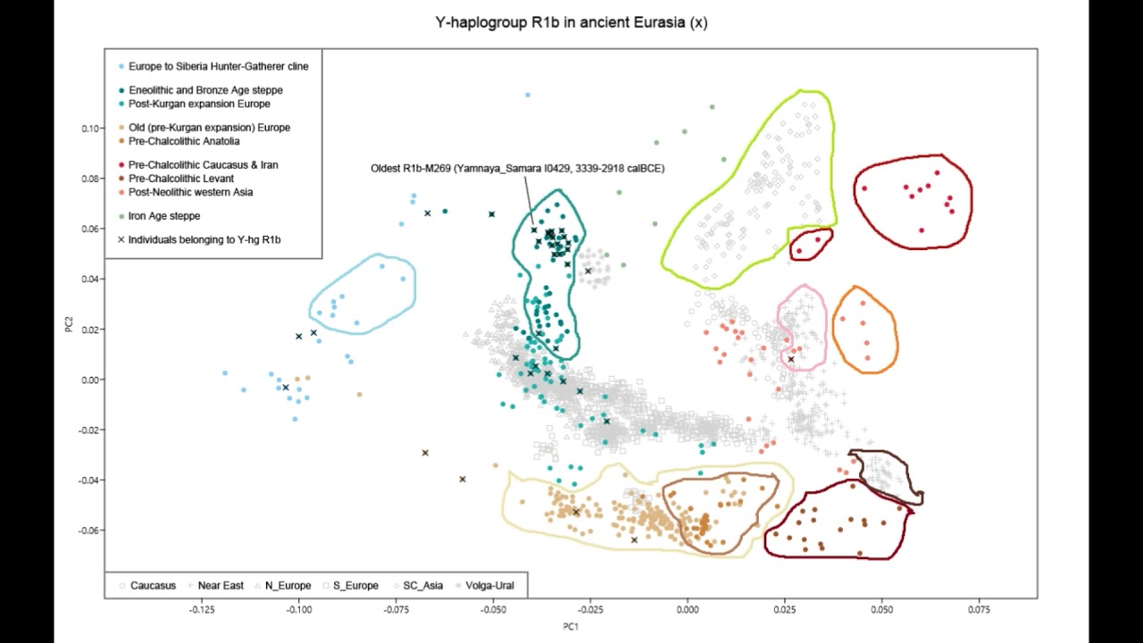 Iranian Genetics Mapped: Genetic Continuity or Not? - YouTube
