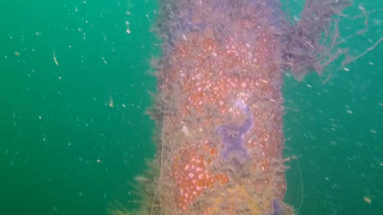 HMS M2 Submarine - YouTube