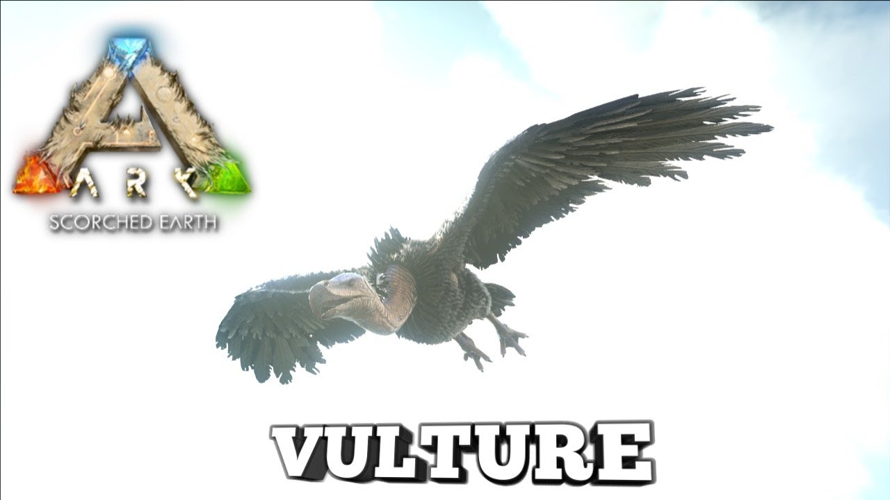 Taming A Vulture | Ark Survival Evolved | Scorched Earth - YouTube