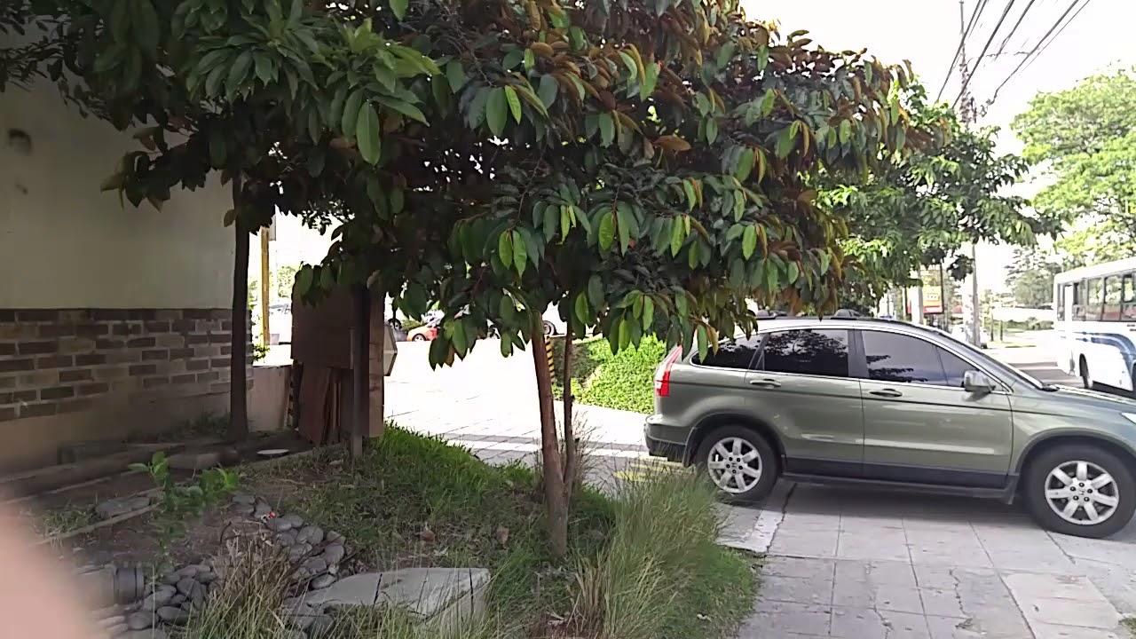 Me and Sharon - YouTube