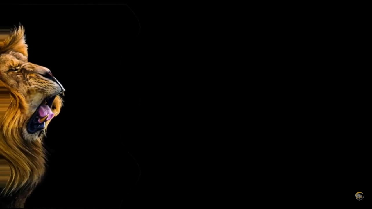 Kanyaga Diamond lyrics - YouTube