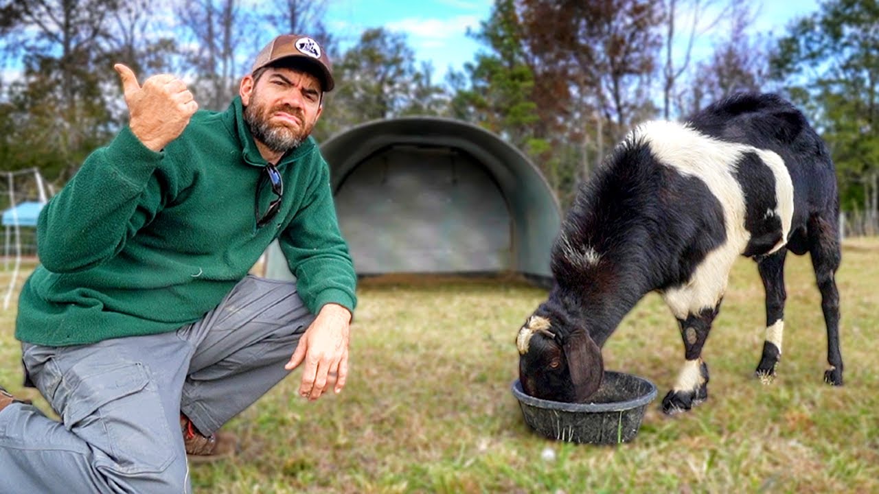 Joe Has Got To Go!! (We Cannot Take It Anymore) - YouTube