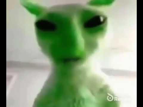 boy why you so gnarp gnarp👽 - YouTube