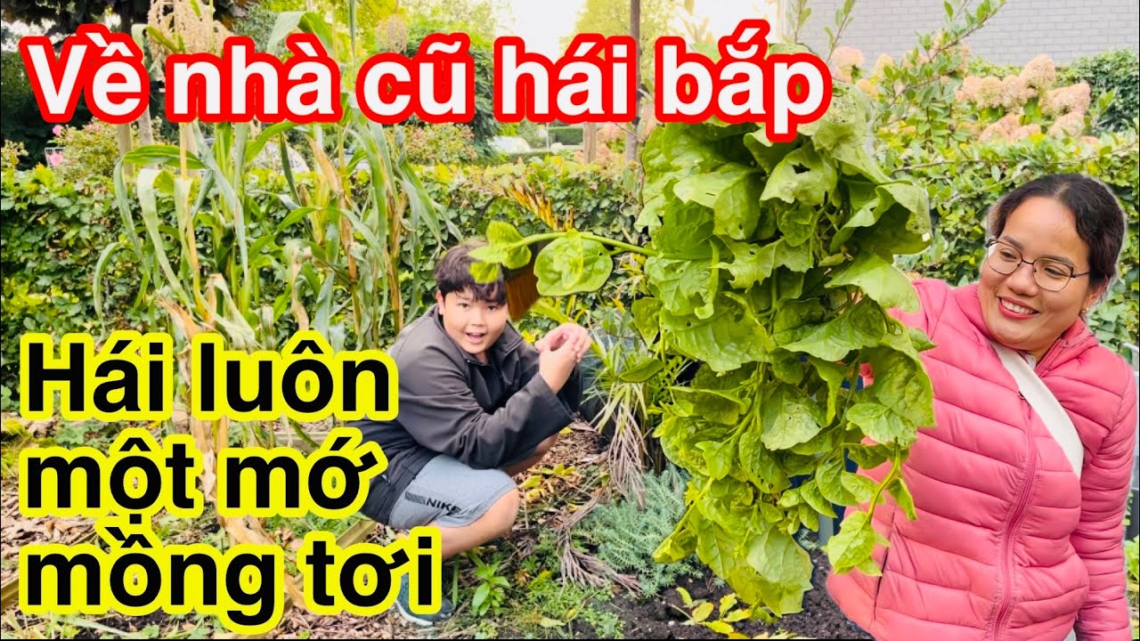 Cuộc sống Hà Lan - Một ngày mùa thu của hai mẹ con - Làm món xíu mại ...