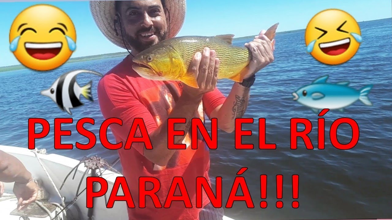PESCA de DORADO Y SURUBÍ en el RÍO PARANÁ!!! / GIANT GOLDEN FISH - YouTube