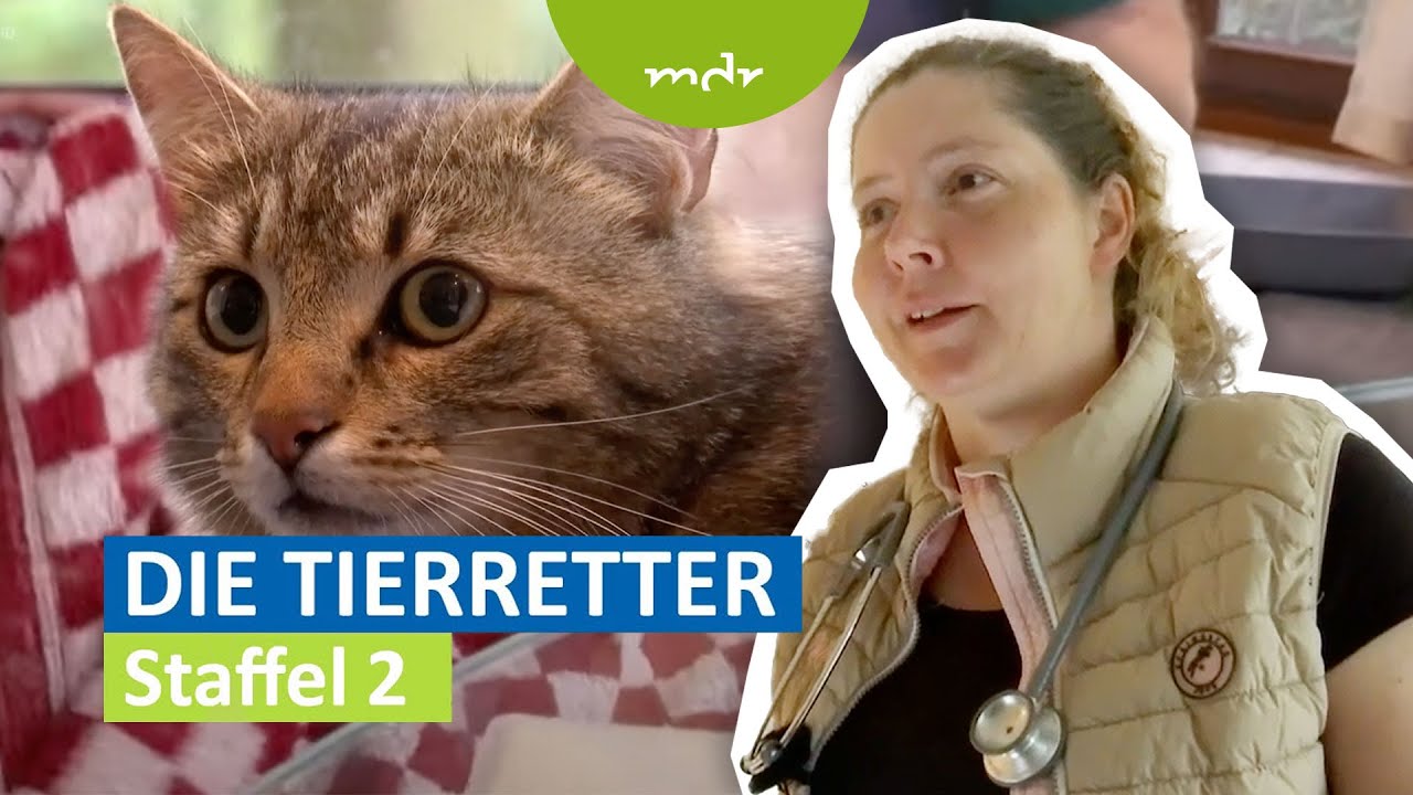 Die Tierretter (2) | Helfer im Einsatz | MDR - YouTube