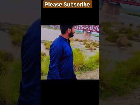 Camera Man jaldi Focus Kro #shorts #viral #youtubeshorts #trending #vlog #viralvideo