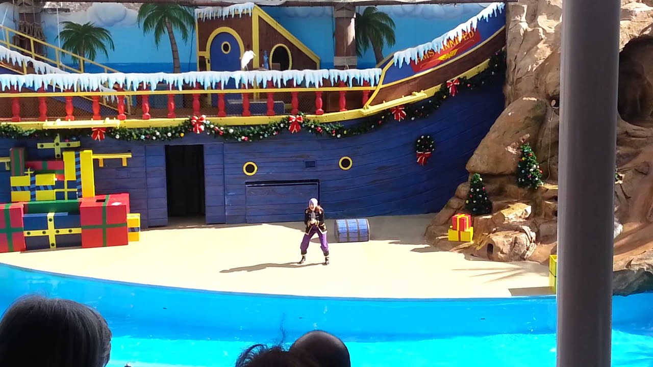 Sea World Orlando Pirate Seal Show - YouTube