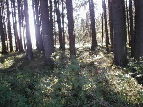 Möge die Strasse - Irisches Segenslied, tolle Chorfassung - YouTube