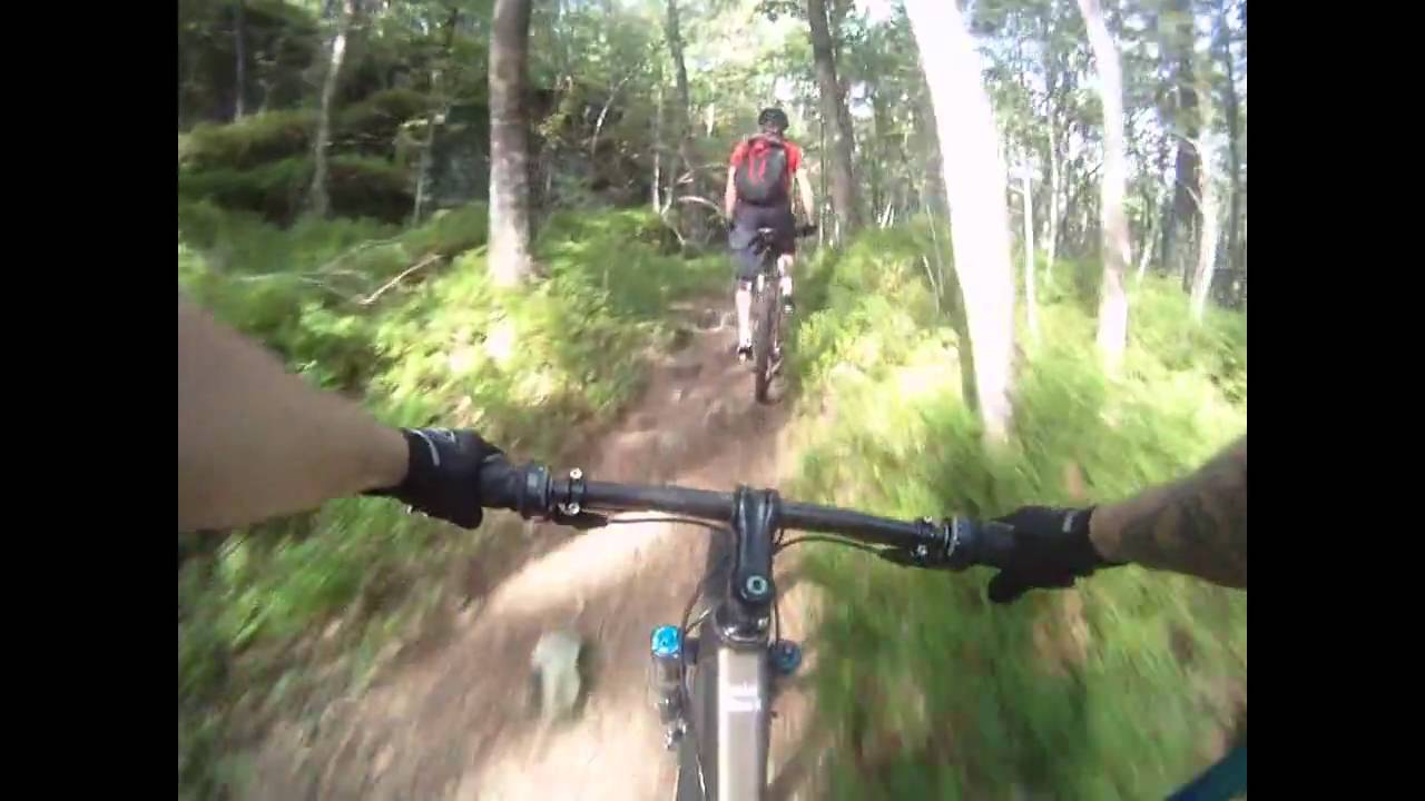 Spencer Burback's Instagram, Twitter & Facebook on IDCrawl